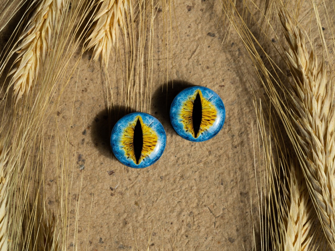 Yellow Dragon Eye Image Ear Plugs Wooden or Clay 4,5,6,8,10,12,14,16,18 ...