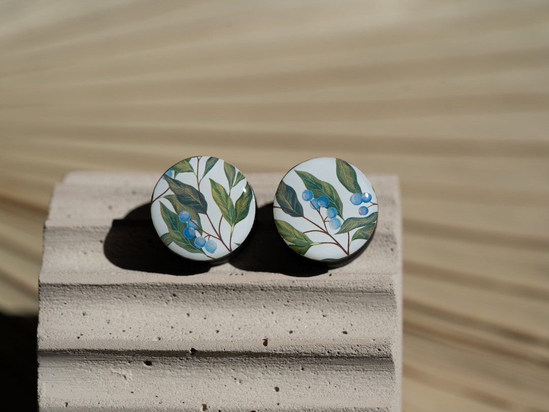 Pair Plugs Blueberry Plant Image Ear Wooden or Clay Tunnels 4,5,6,8,10 ...