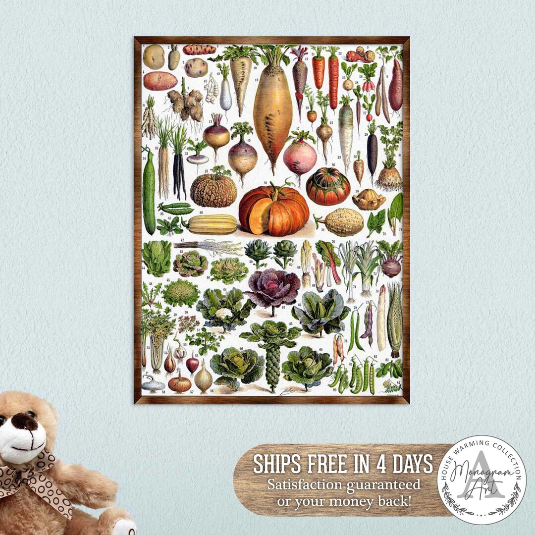 Kids Educational Poster With Root Vegetables montessori Wooden Poster ...