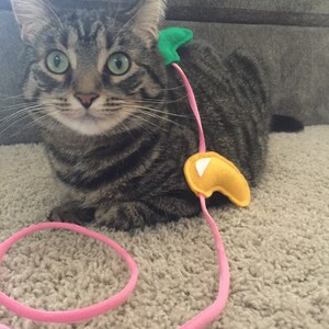 Jelly Bean Catnip Cat String Toy - Organic Cat Nip Easter Jelly Bean ...