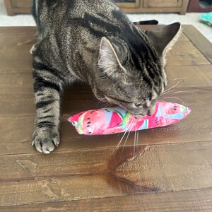 Watermelon Catnip Toys - Cat Nip Kick Stick and Watermelon Cat Toys - Etsy