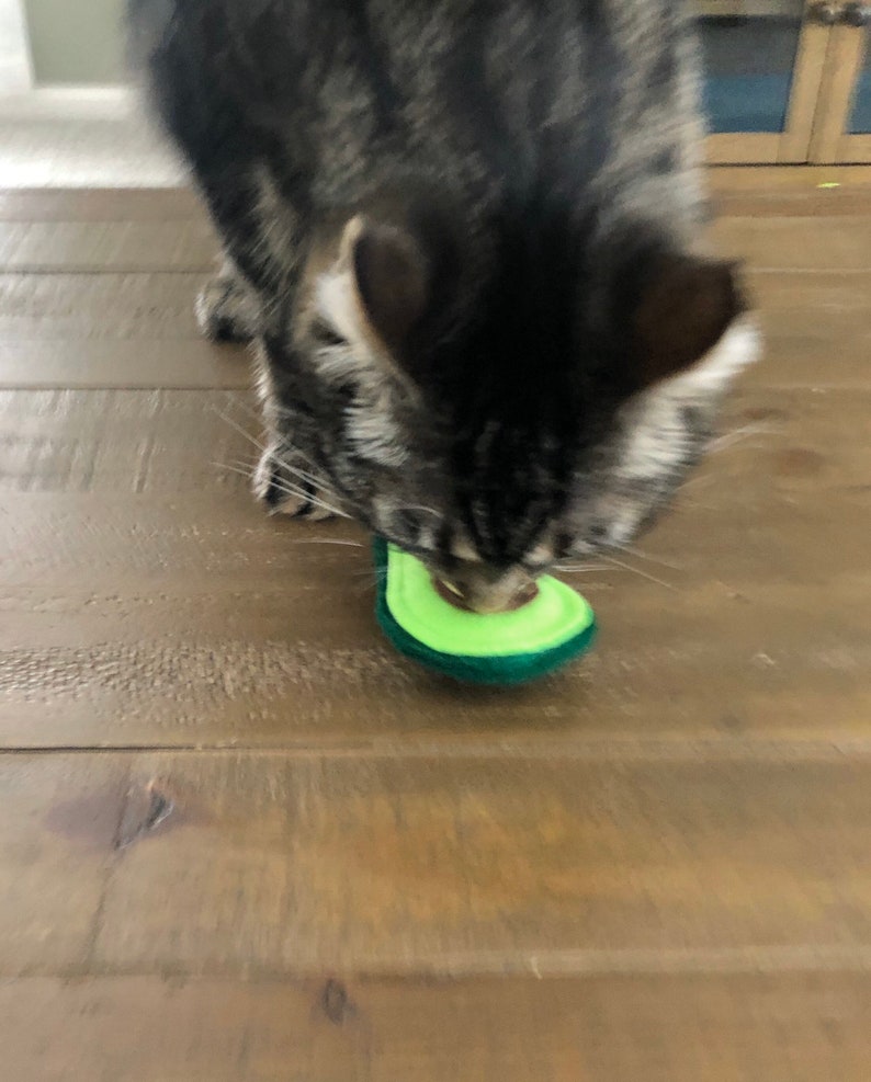 Avocado Catnip Cat Toy Organic Cat Nip Kitty Toy | Etsy Avocado Catnip Cat Toy Organic Cat Nip Kitty Toy | Etsy