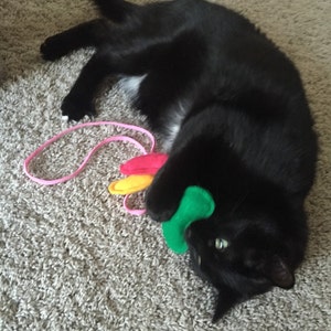 Jelly Bean Catnip Cat String Toy - Organic Cat Nip Easter Jelly Bean ...