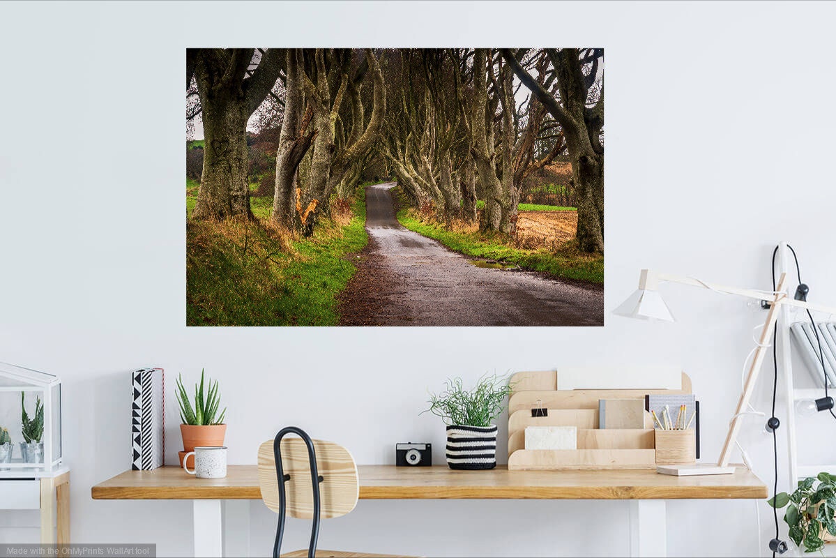 The Dark Hedges, Photography Print, Ireland Photography, Dark Hedges ...