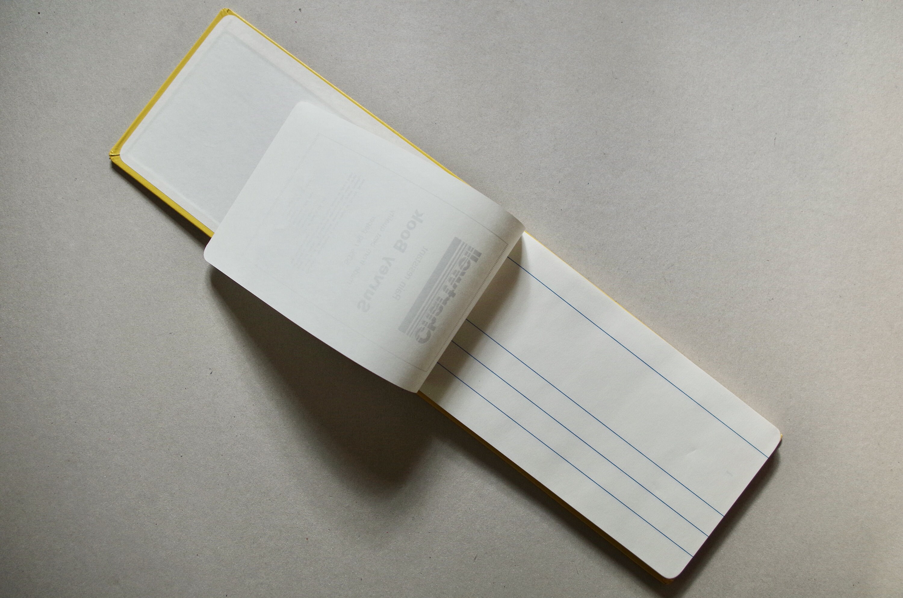 Vintage Survey Book Hardcover Chartwell Blank and Unused Vintage ...