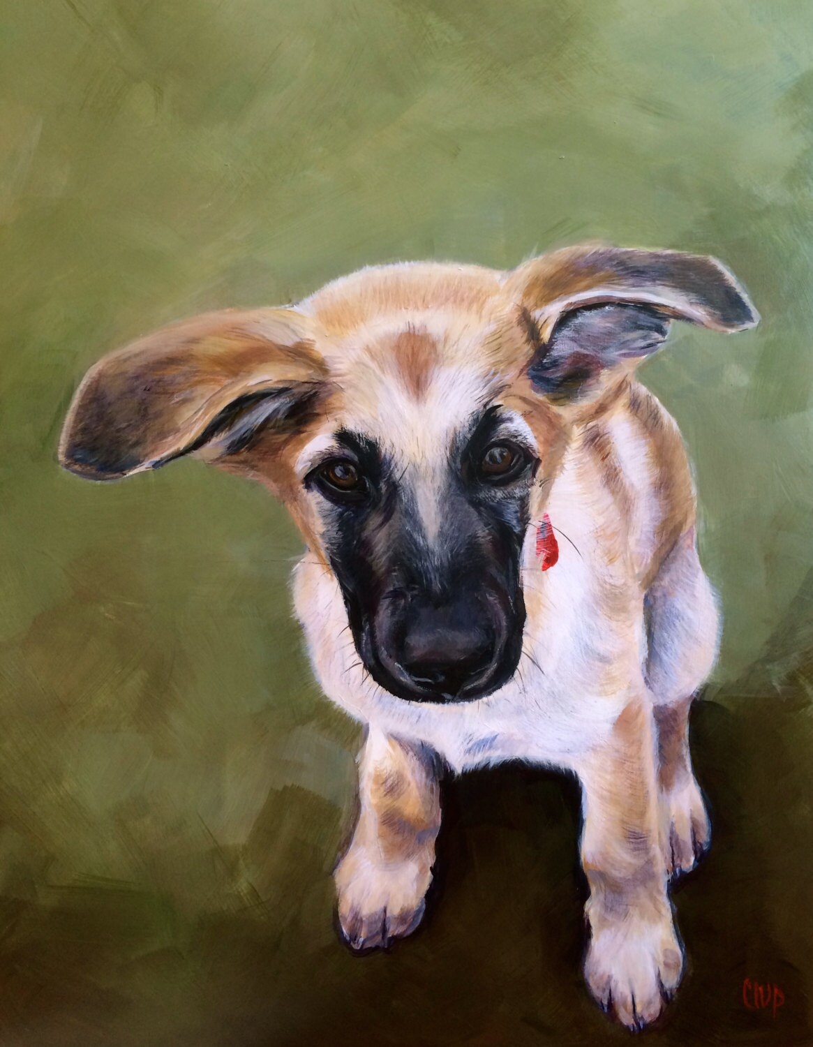 What Makes A Chinook Dog