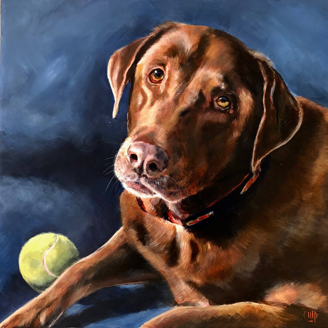 Chocolate Lab, 12 X12 Archival Giclee Print - Etsy