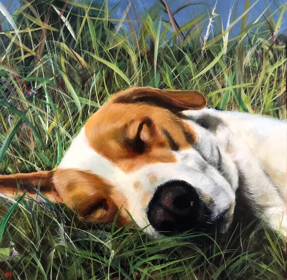 Toby Sleeping... 12 X 12 Giclee Print | Etsy