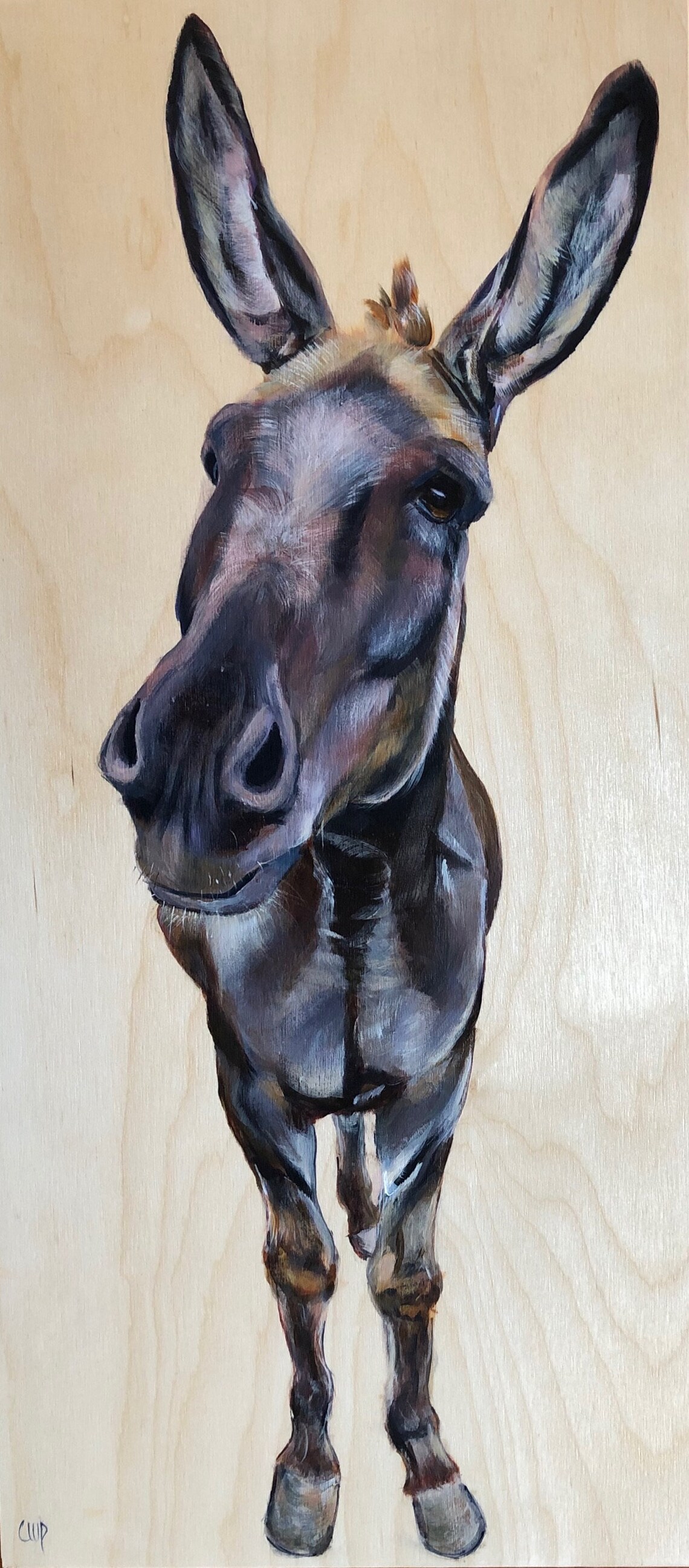 Portrait of a Donkey Giclee Print on Fine Art Paper - Etsy