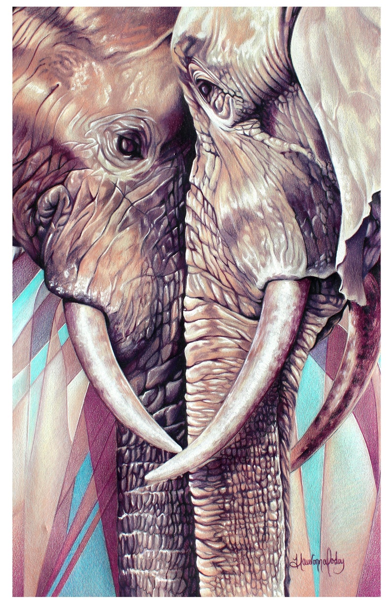 Colored pencil Elephant Drawing Elephant print Elephant | Etsy