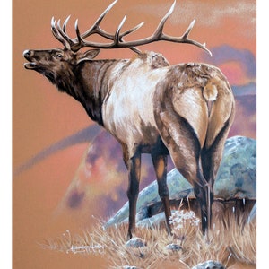 Elk Colored Pencil Drawing Elk Art Elk Drawing Elk Elk - Etsy