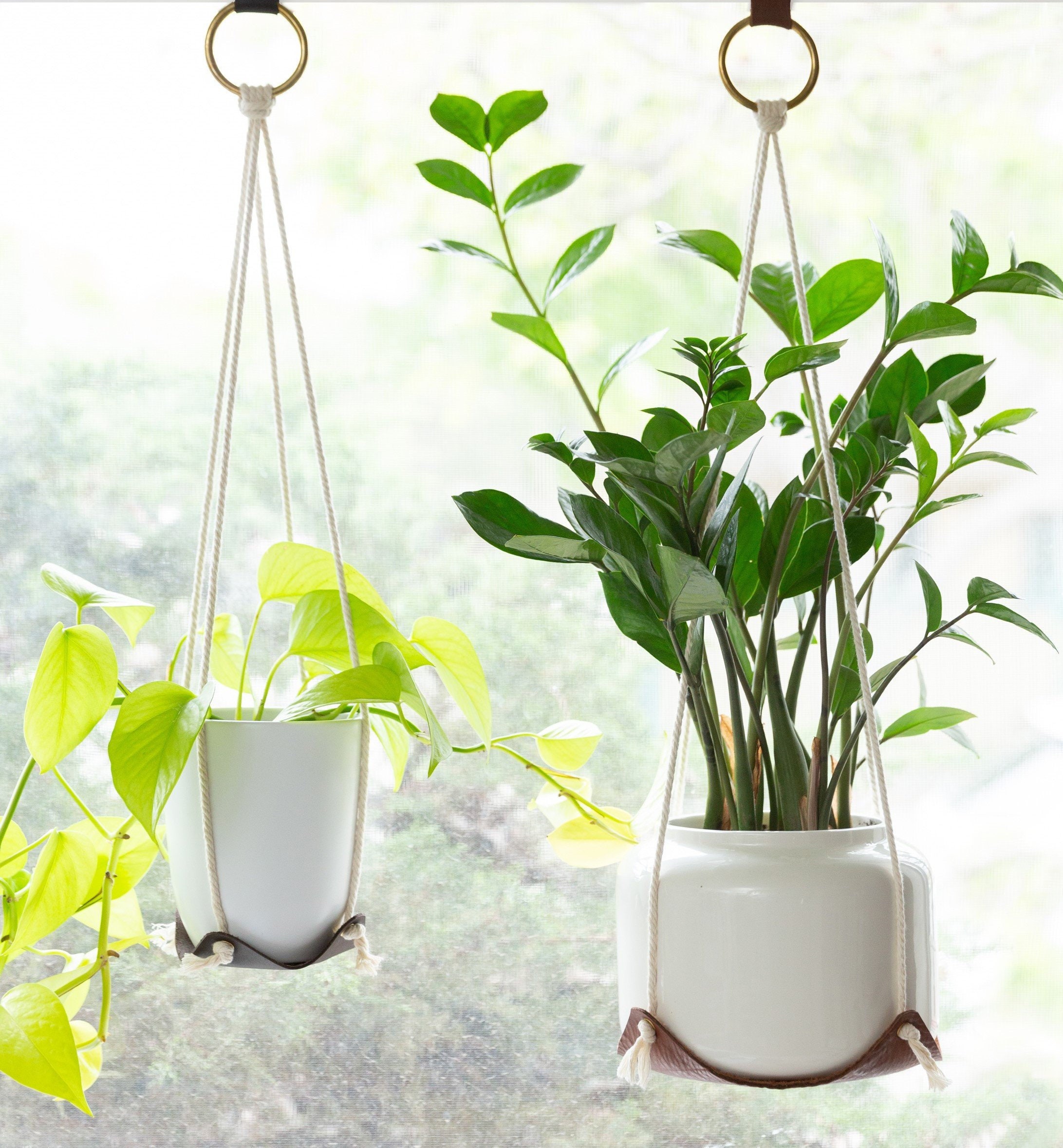 Indoor Hanging Flower Pots