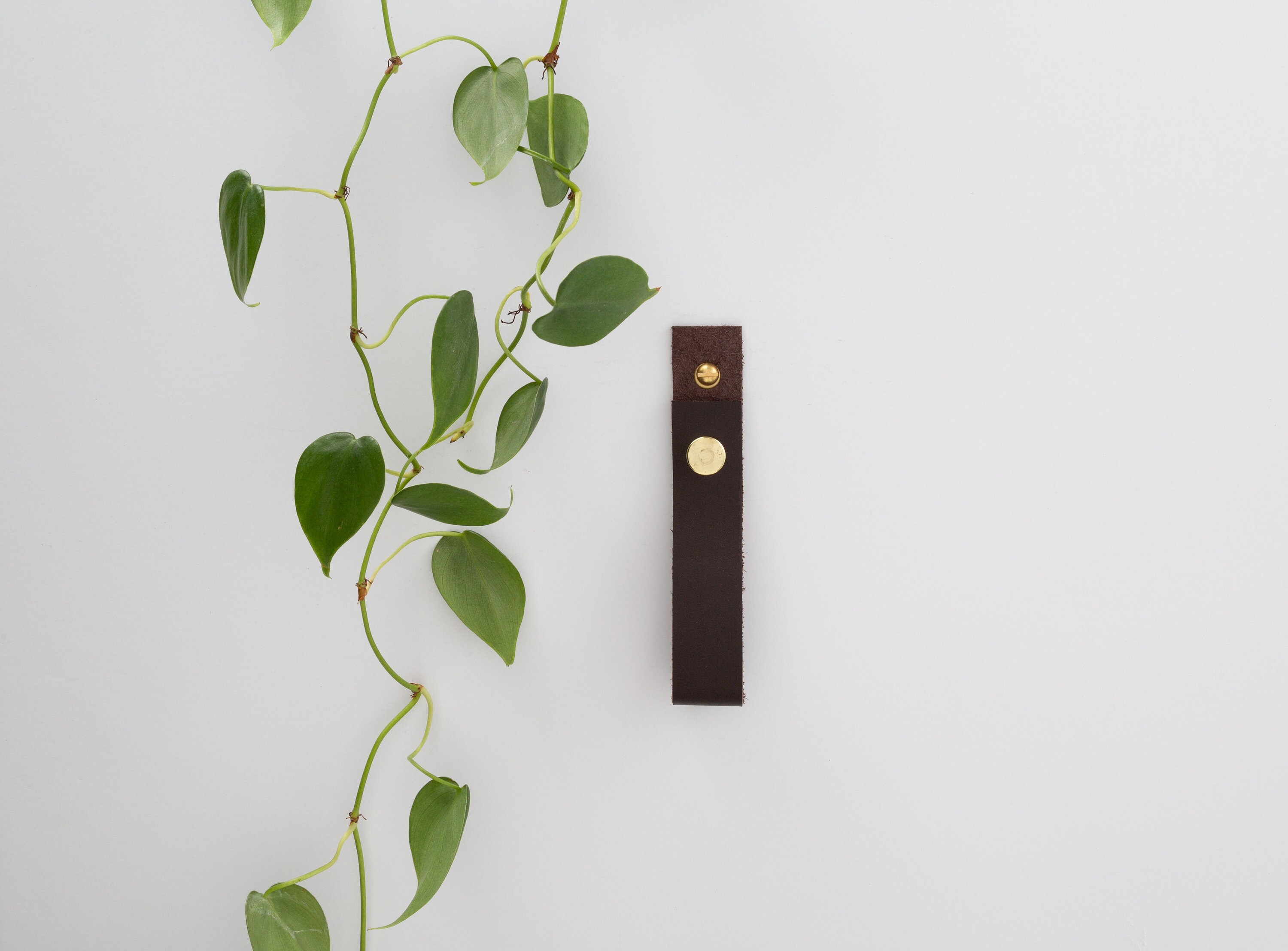 Leather Hanging Oar Wall Decor Horizontal Boat Paddle Display Strap ...