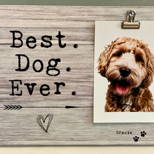 Personalized Pet Picture Frame Dog Frame Dog Name Custom - Etsy