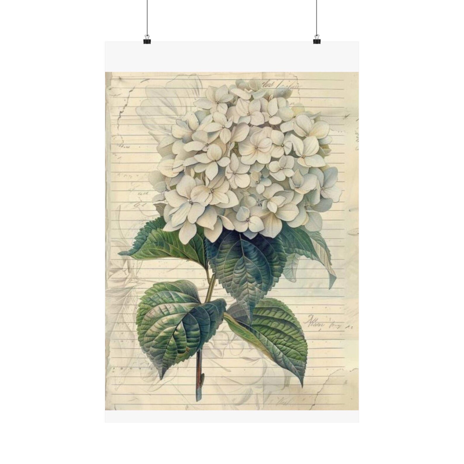 Antique Hydrangea Collage Poster - Etsy