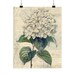 Antique Hydrangea Collage Poster - Etsy