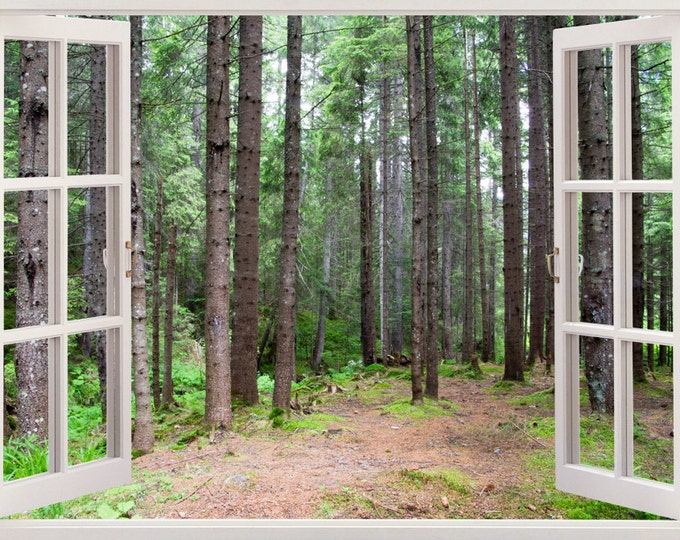 Forest Vinyl Wall Decal, Tree Wall Decal, Tree 3D Window Wall Art ...