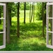 Forest Wall Sticker, Trees Wall Decal, 3D Window Wall Art, Colorful ...