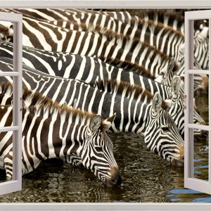 Zebra Wall Decal 3D Window Zebras Wall Sticker for Home - Etsy