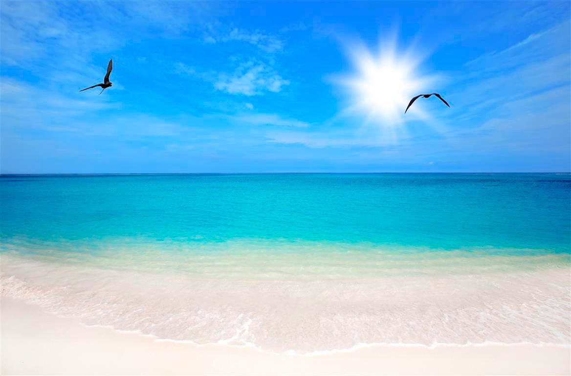 Beach Wall Decal Blue Sky Wall Decal Beach for Nursery Room | Etsy