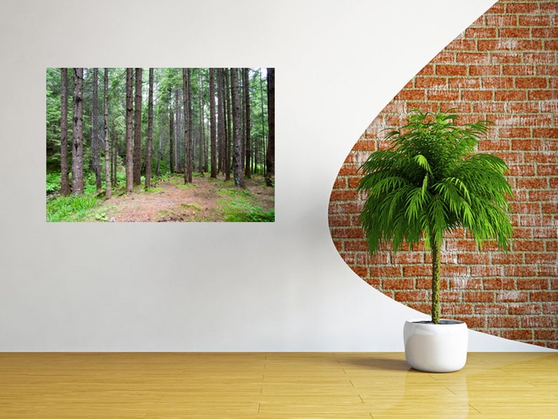 Décalque de mur forêt impression arbres wall decal affiche | Etsy