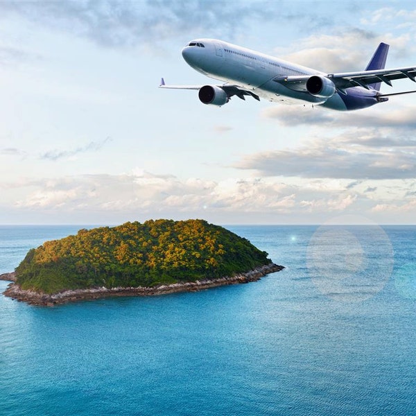 Passenger Plane Wall Decal - Etsy