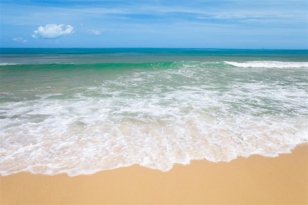 Tropical Beach Wall Decal Print Coast Wall Decals for Nursery - Etsy