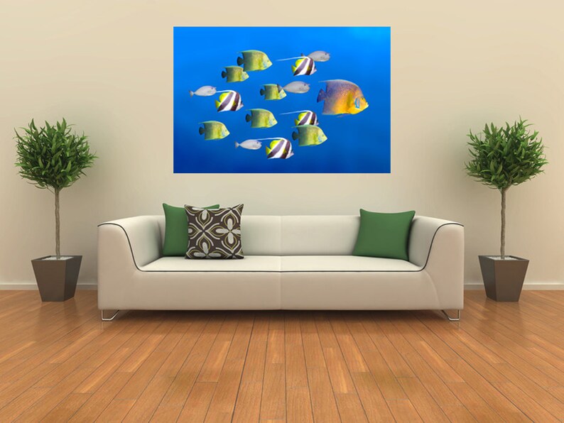 Tropical Fishes Wall Decal Vinyl Fish Underwater Decal for - Etsy