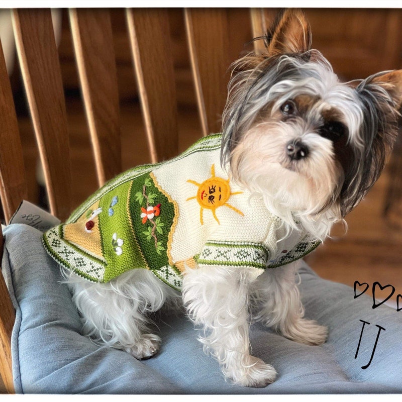 Maltese Clothes - Etsy