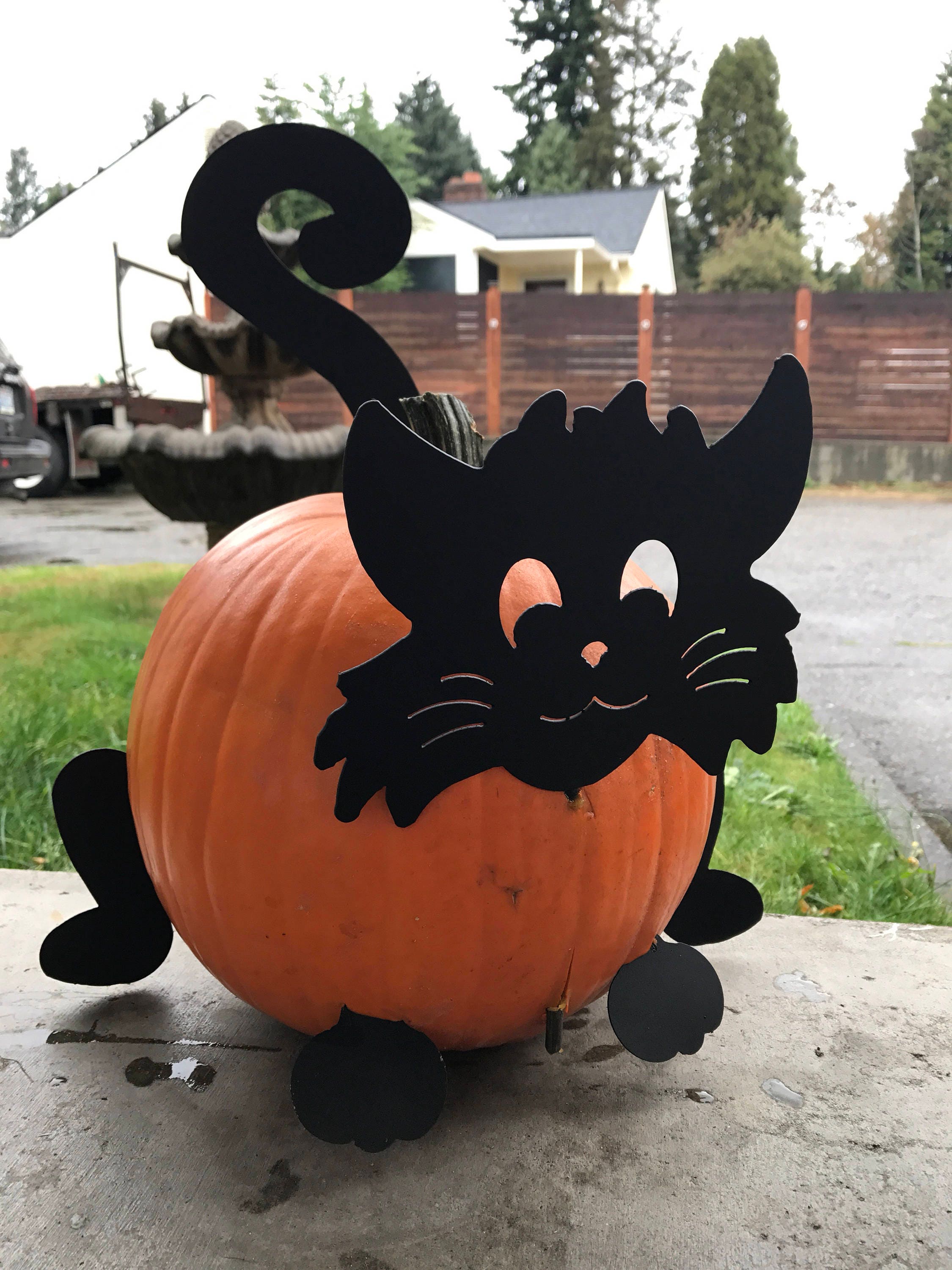 Metal Cat Pumpkin Decorating Kit, Black Cat, Fall, Halloween, Kitty ...