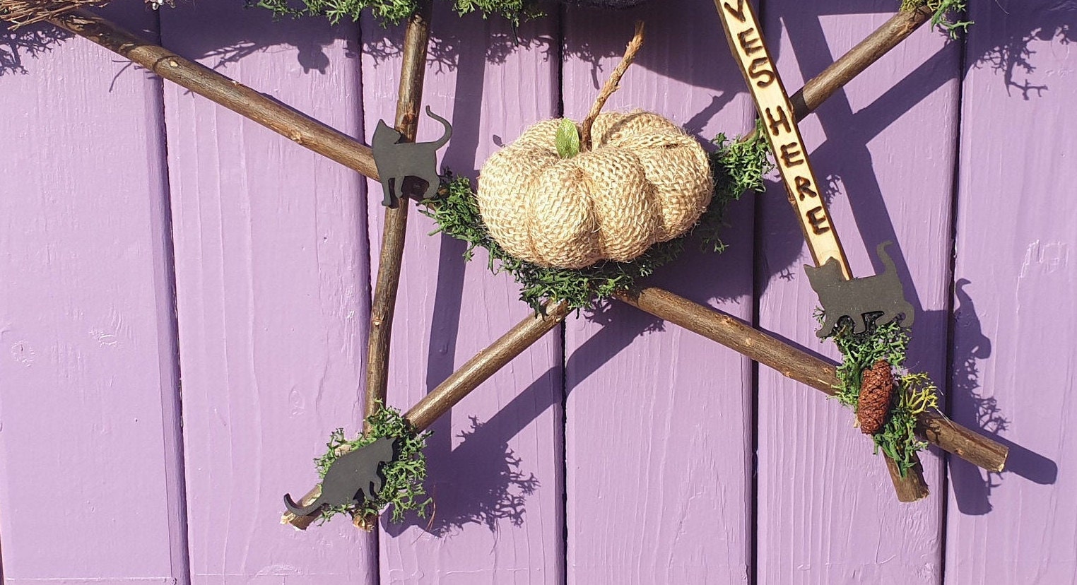 Witchy Cat Pentacle Familiar Lives Here Wiccan Pentagram | Etsy