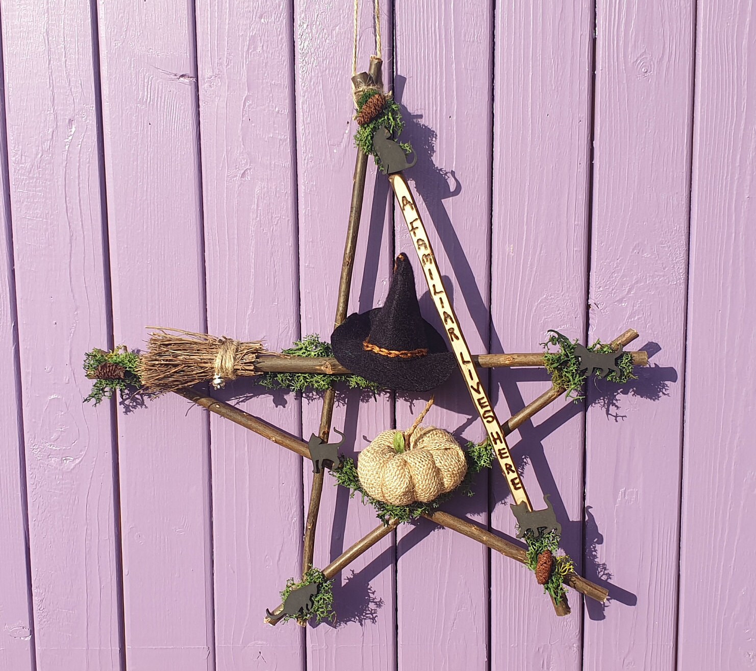 Witchy Cat Pentacle Familiar Lives Here Wiccan Pentagram | Etsy