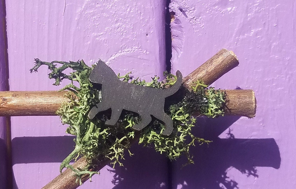 Witchy Cat Pentacle Familiar Lives Here Wiccan Pentagram - Etsy UK