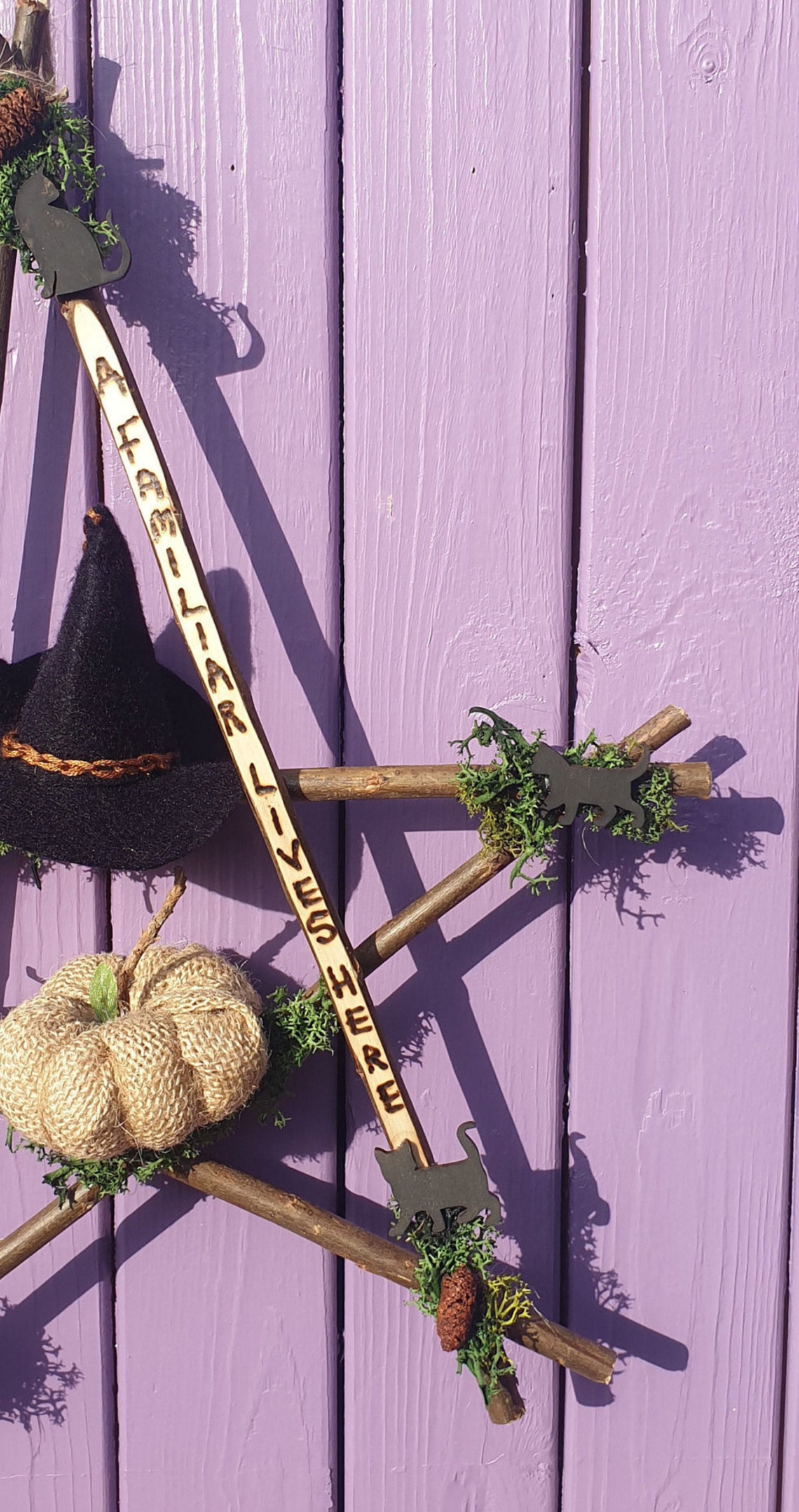 Witchy Cat Pentacle Familiar Lives Here Wiccan Pentagram | Etsy