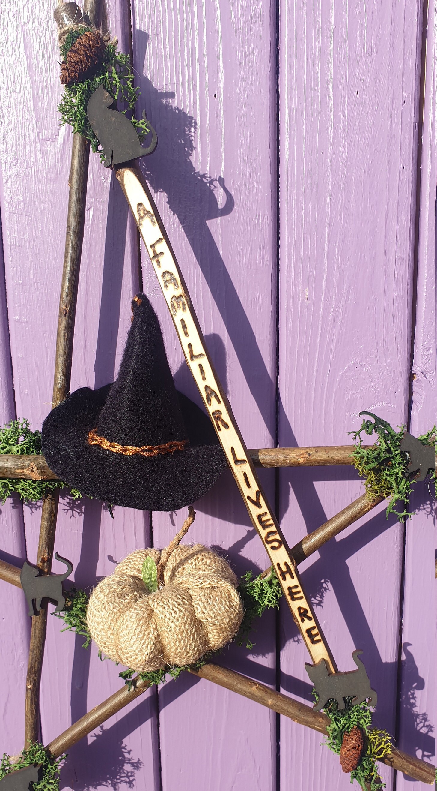 Witchy Cat Pentacle Familiar Lives Here Wiccan Pentagram | Etsy