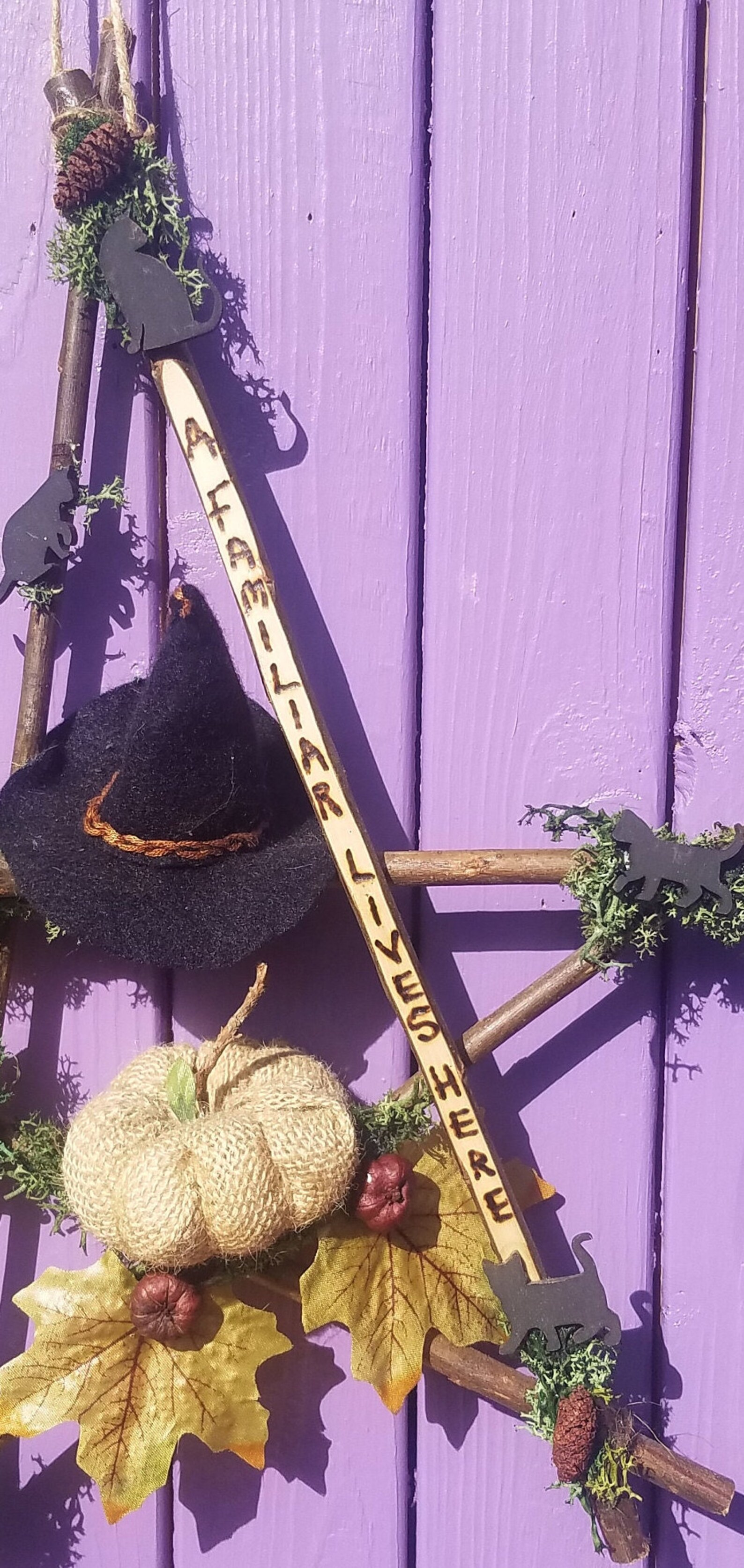 Witchy Cat Pentacle Familiar Lives Here Wiccan Pentagram - Etsy UK