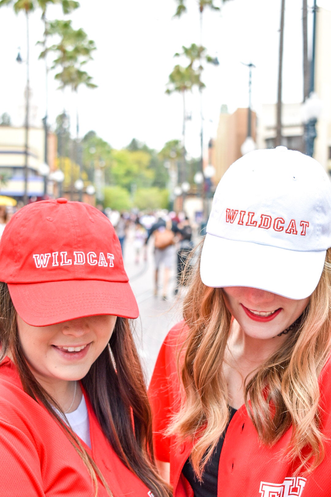 High School Musical Wildcat - Dad Hat / All in This Together, East High ...