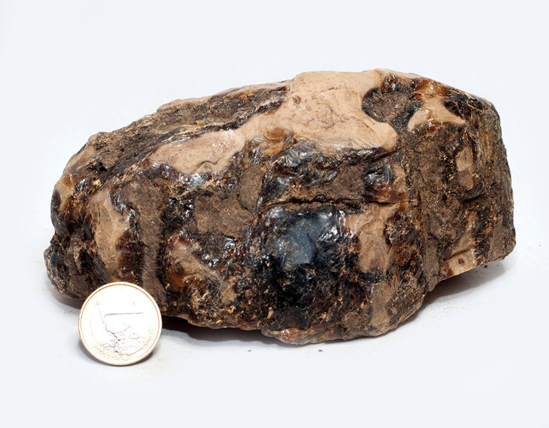 Wood Amber Blue Amber With Structure No. 3 Sumatra 400 - Etsy