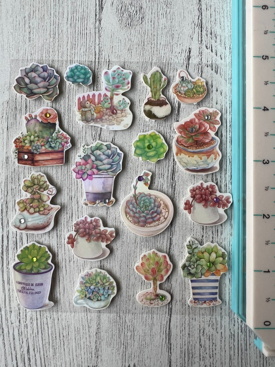 Succulent Stickers, Stickers, Succulents - Etsy