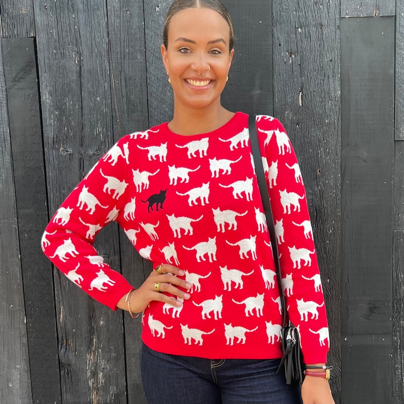 The Black Cat Princess Diana Sheep Cat - Etsy