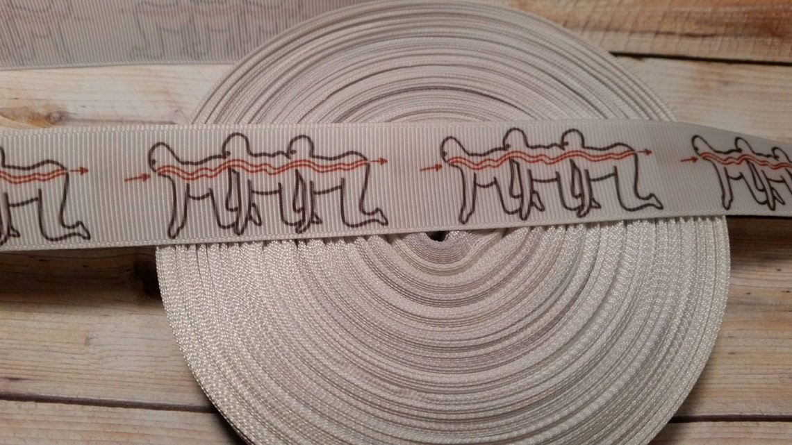 Horror ribbon Human centipede 1 grosgrain ribbon | Etsy