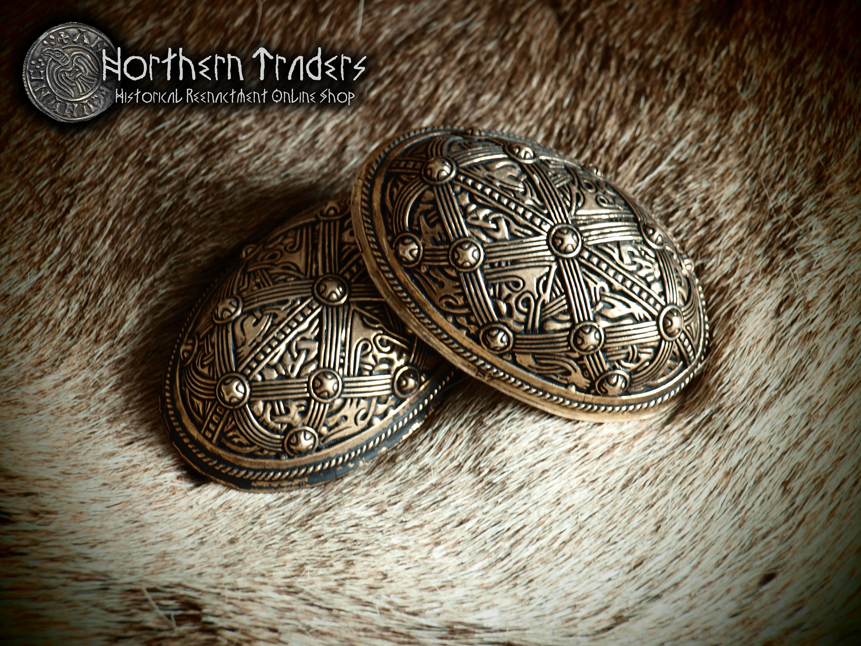 Viking turtle brooch from Gjerstad | Etsy