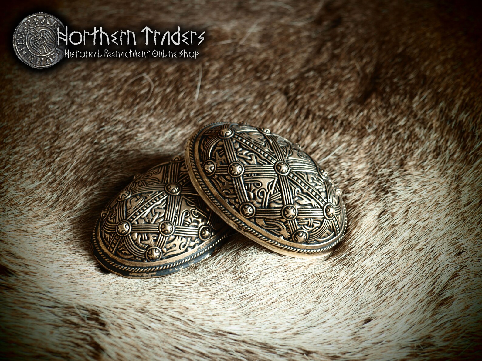 Viking Turtle Brooch From Gjerstad | Etsy