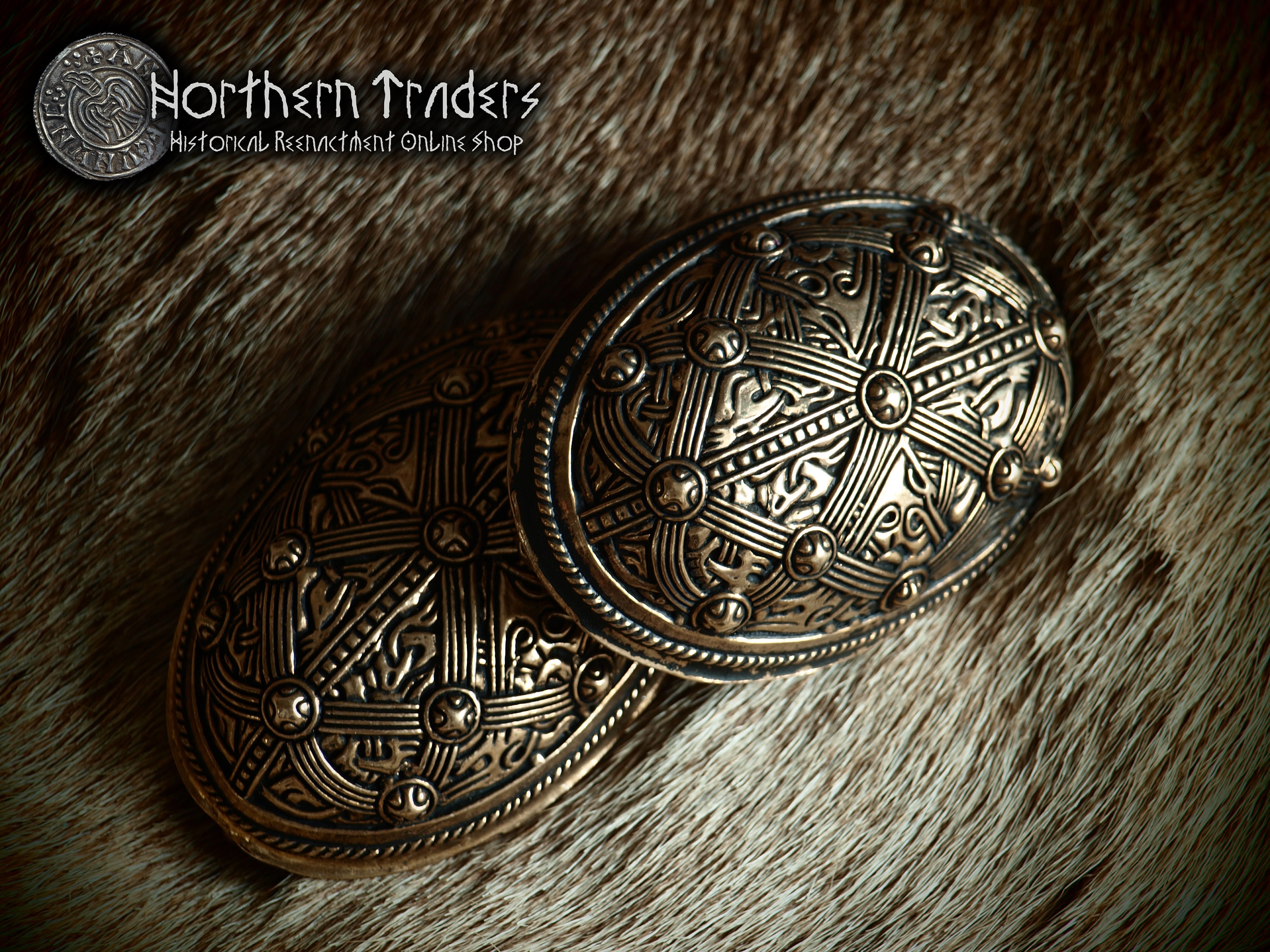 Viking turtle brooch from Gjerstad | Etsy