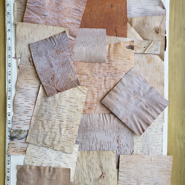 Birch Bark Sheets - Etsy