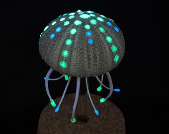 Sea Creature Display - Etsy