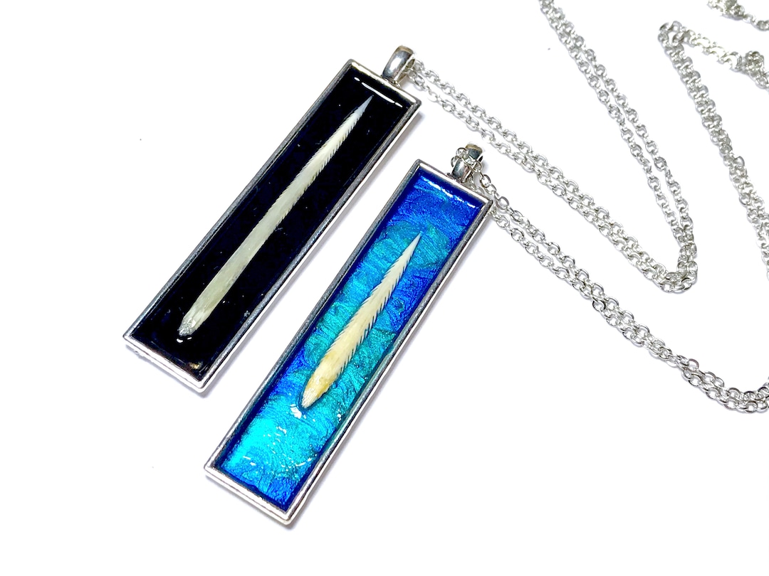 Stingray Tail Barb Pendant Natural Fish Bone Specimen Necklace Black or ...