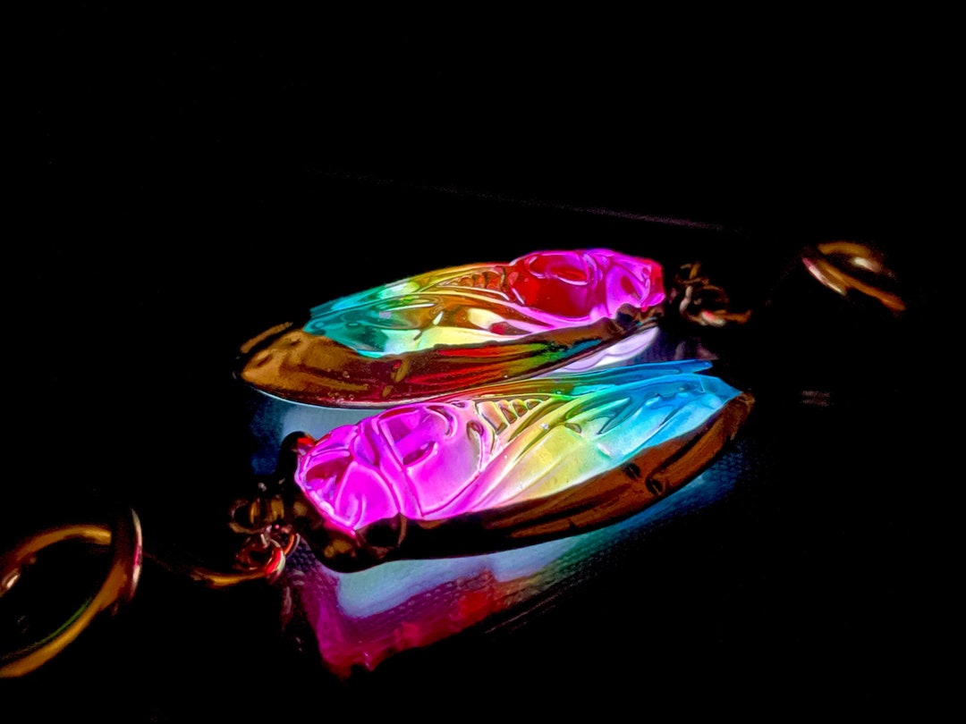 6g-00g Rainbow Glow Firefly Ear Weight PAIR GLOW in the DARK - Etsy