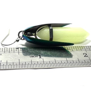 Glow in the Dark Firefly Lightning Bug Earrings Phosphorescent Real ...