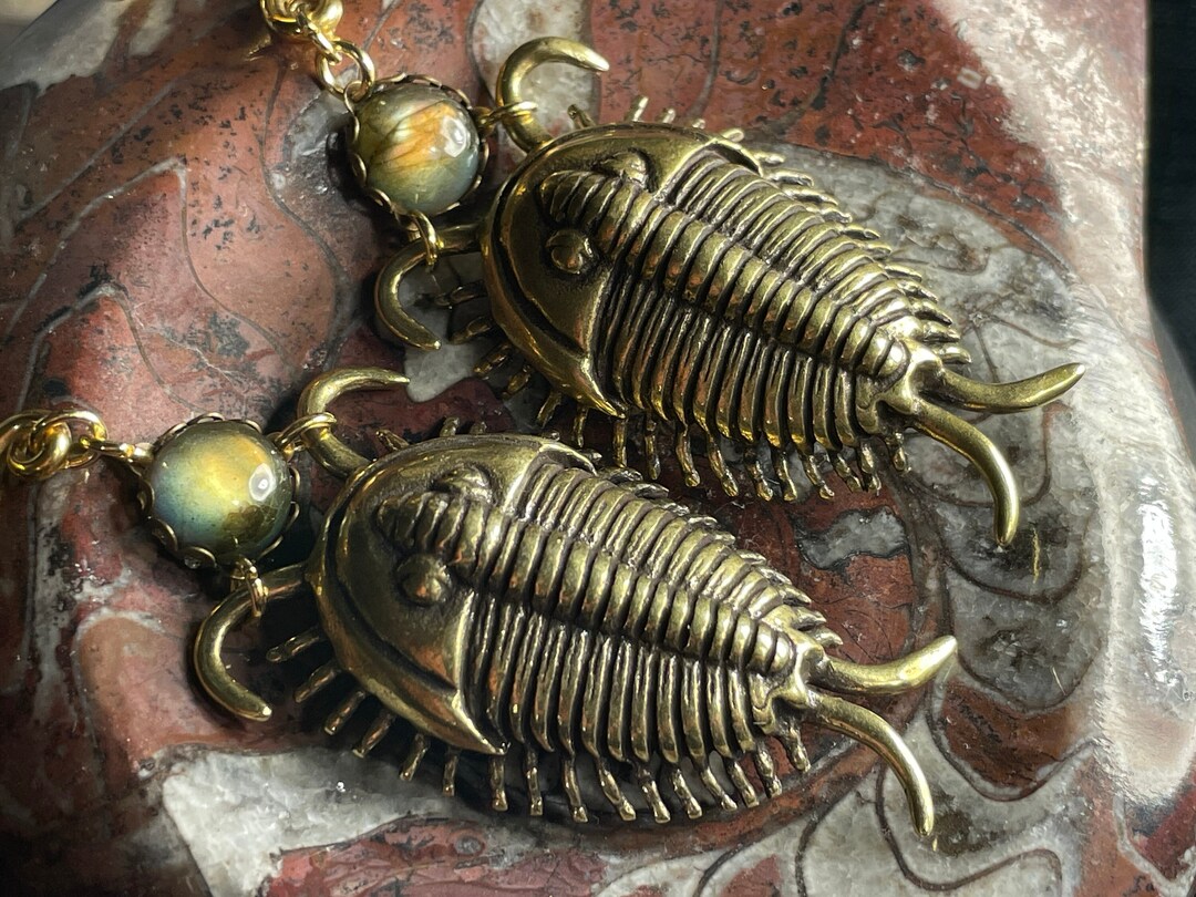Trilobite Ear Weights 6g-00g PAIR Prehistoric Fossil Sea Life Deep Sea ...